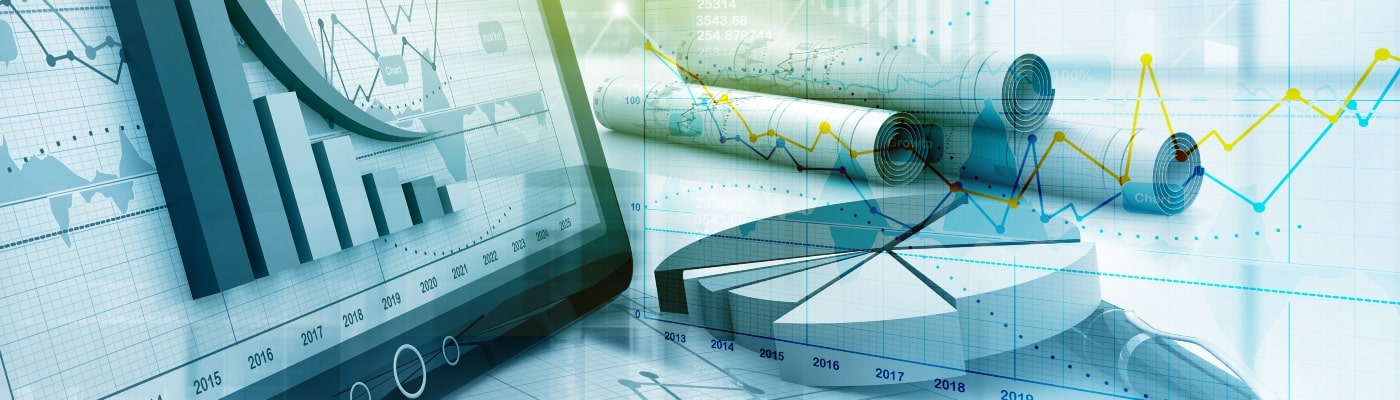 Texas A&M International University Economics Online Certification Course